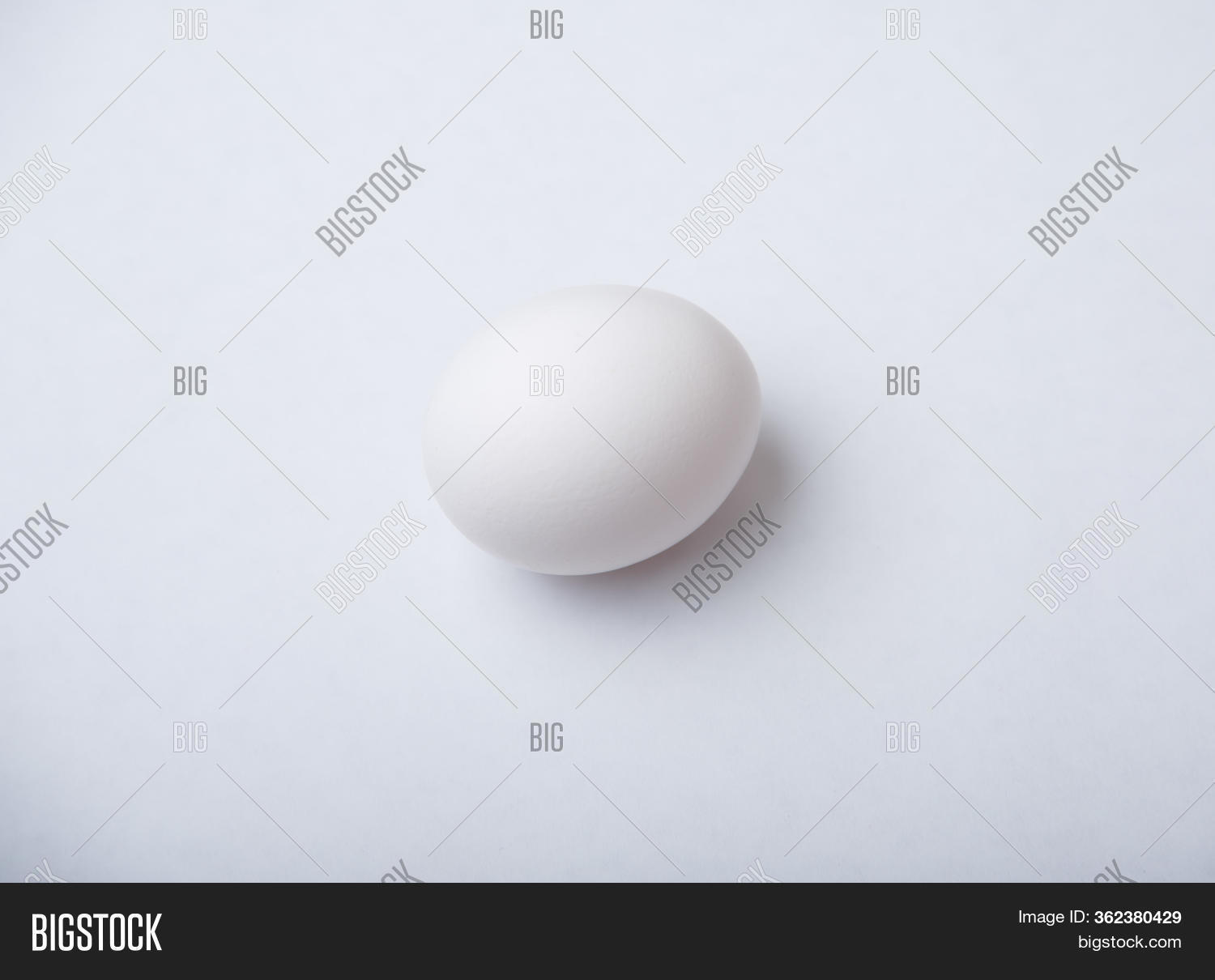 White Egg On White Image & Photo (Free Trial) | Bigstock
