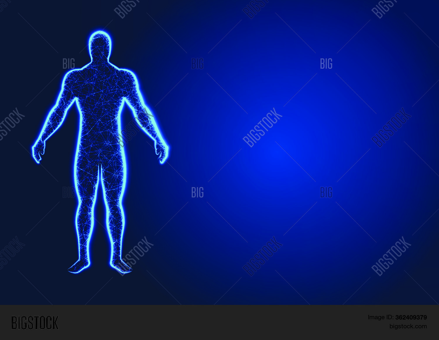 Human Body Virtual Vector & Photo (Free Trial) | Bigstock