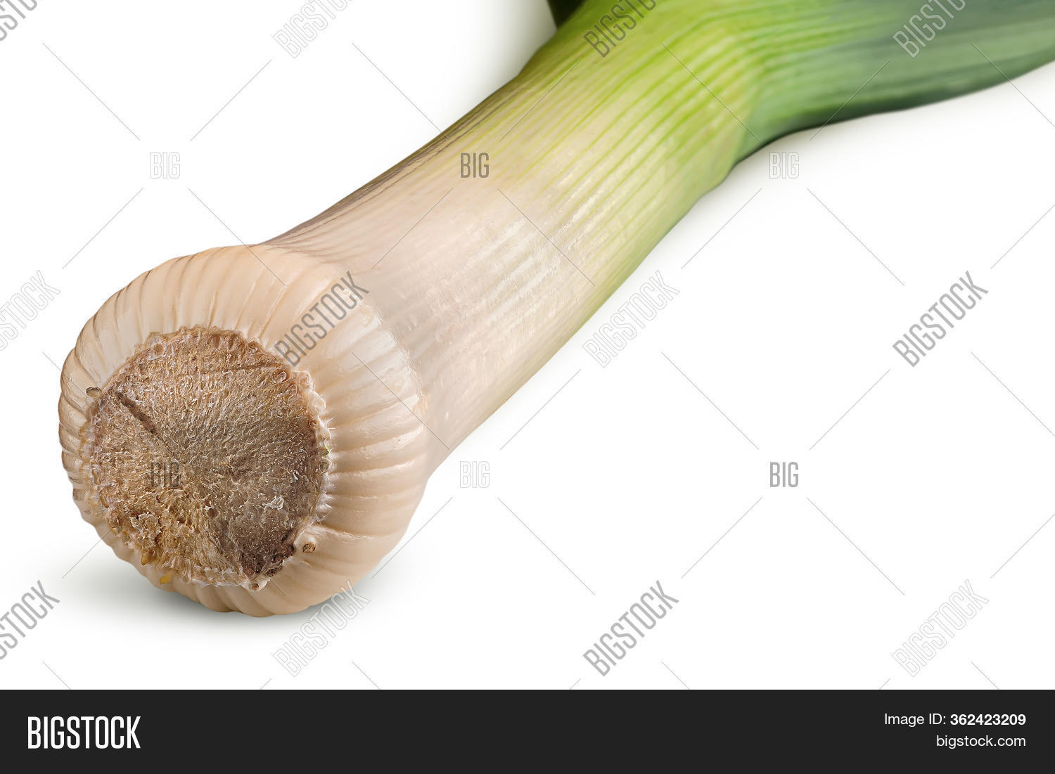 Fresh Green Leek Image & Photo (Free Trial) | Bigstock