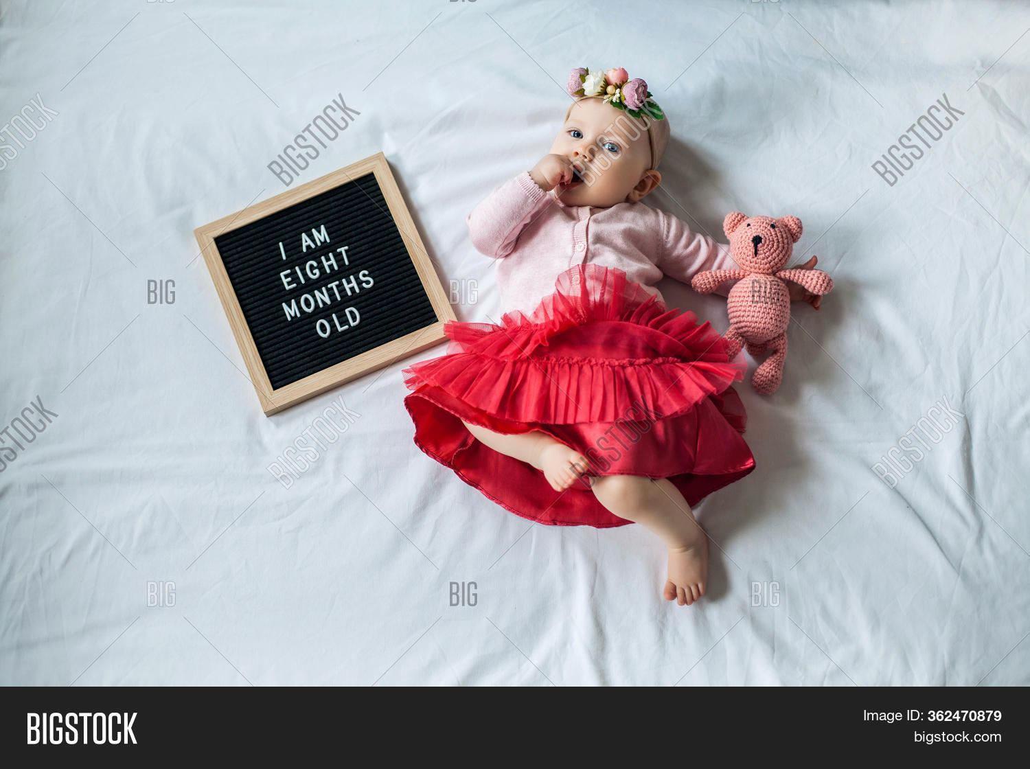 8 Eight Months Old Image & Photo (Free Trial) | Bigstock
