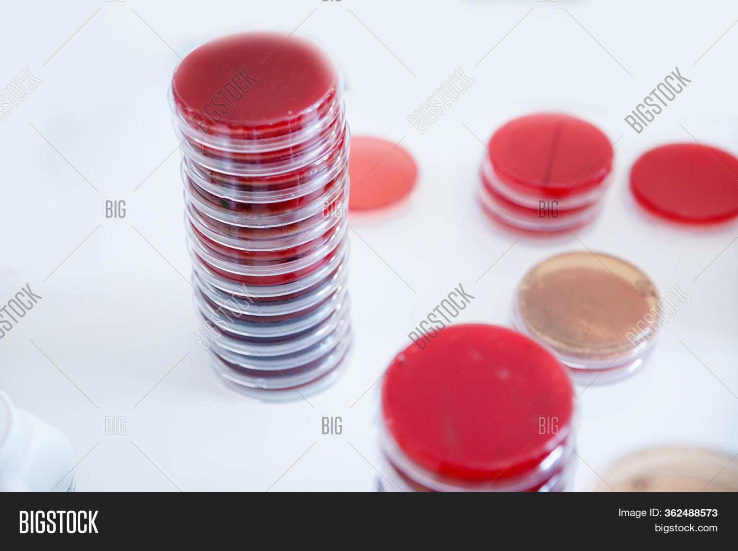 Microbiology Image & Photo (Free Trial) | Bigstock