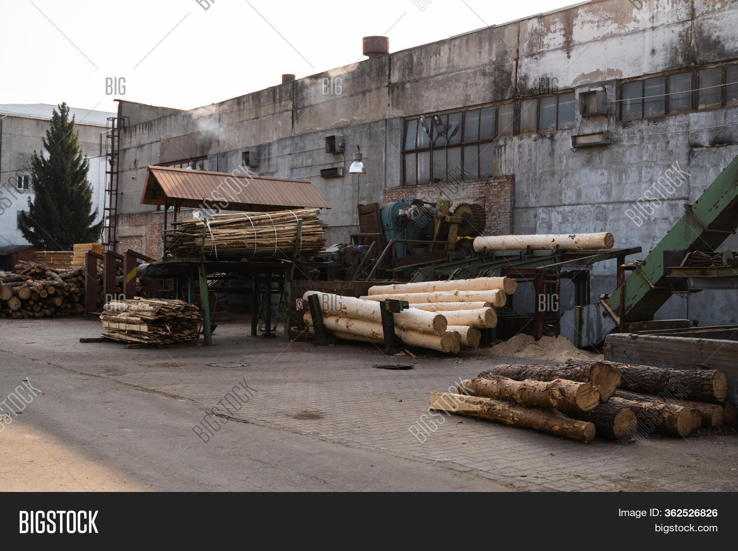 Bark Removal Large Image & Photo (Free Trial) | Bigstock