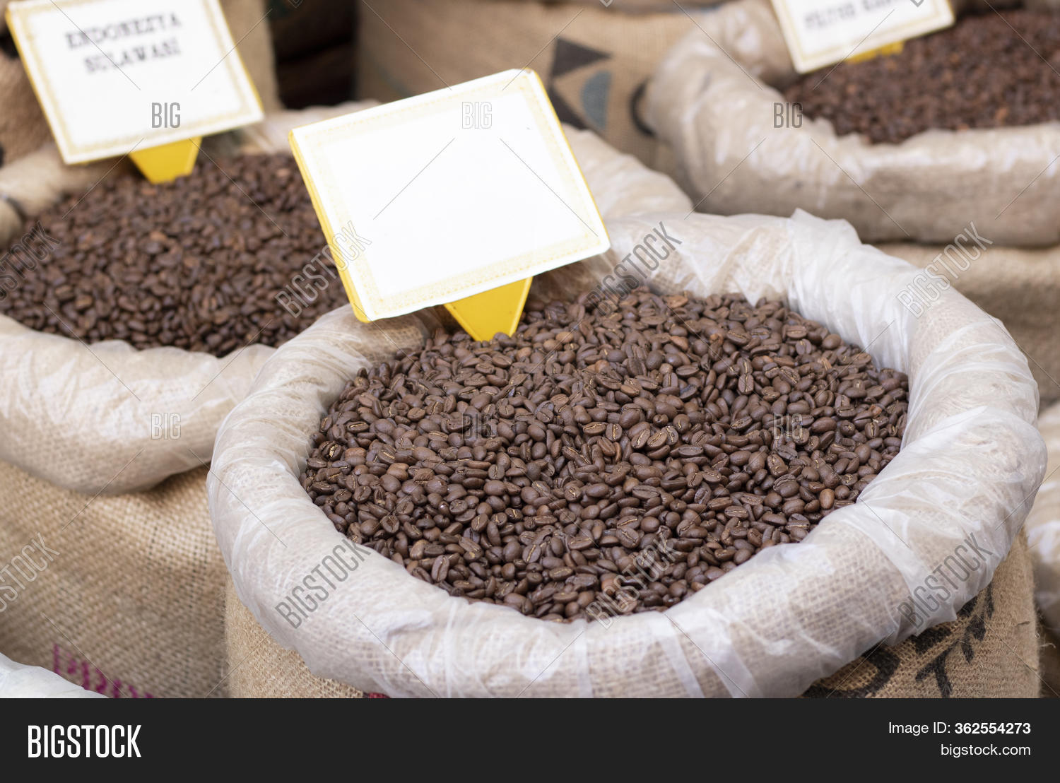 Raw Coffee Grains Image & Photo (Free Trial) | Bigstock
