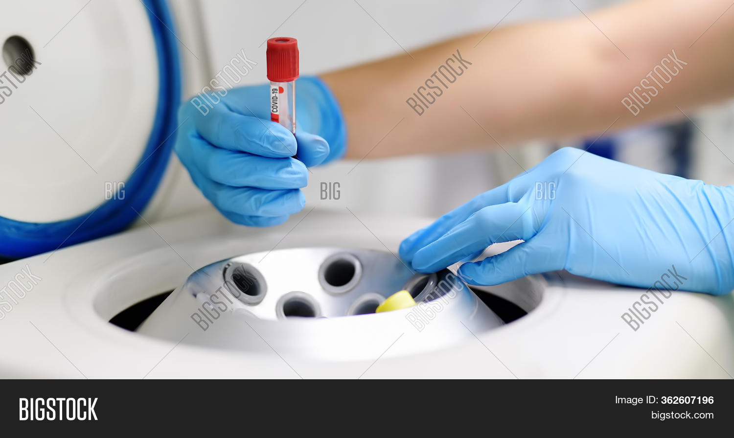 Lab Man Puts Image & Photo (Free Trial) | Bigstock