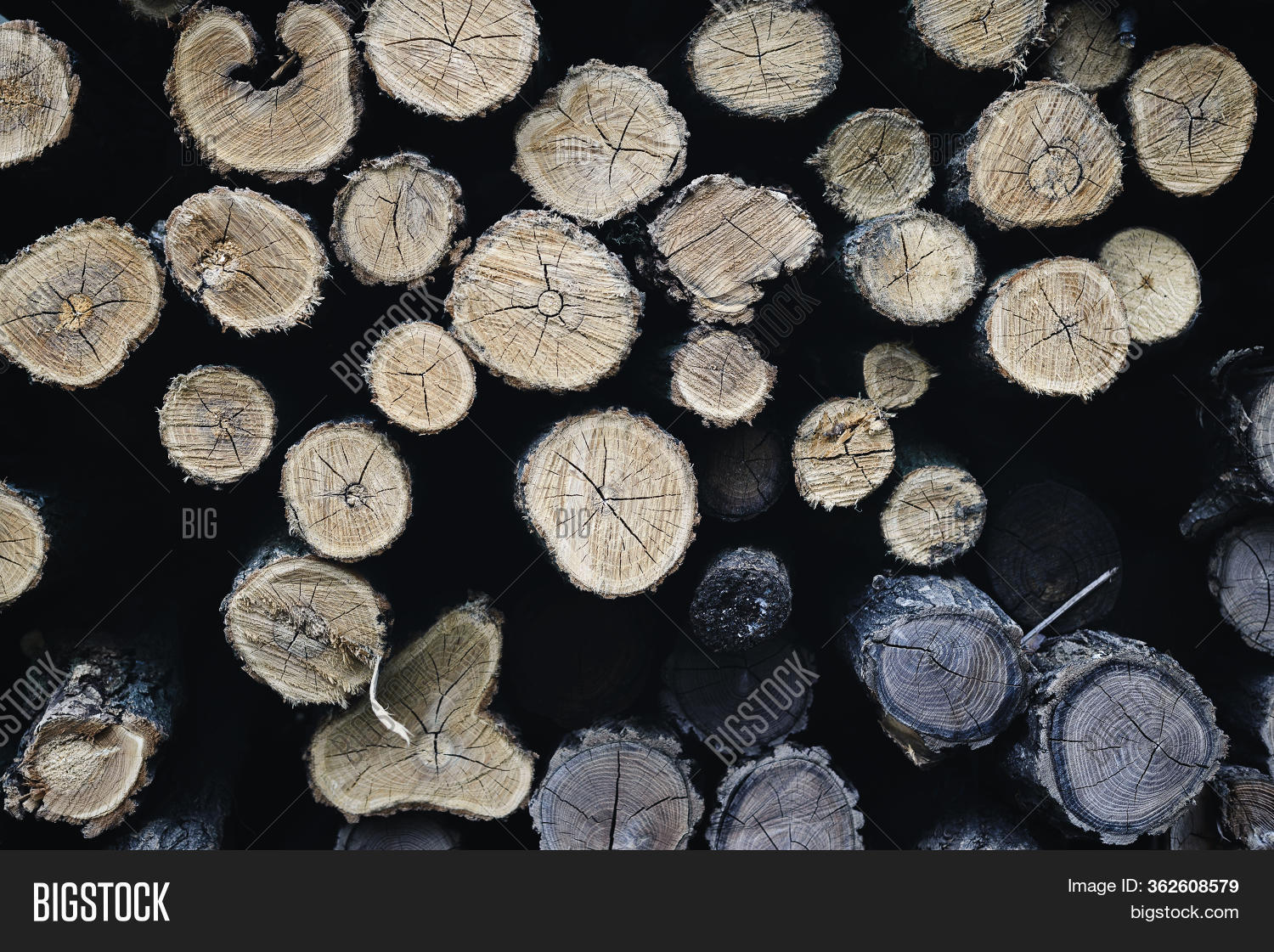 Wood Logs Rustic Image & Photo (Free Trial) | Bigstock