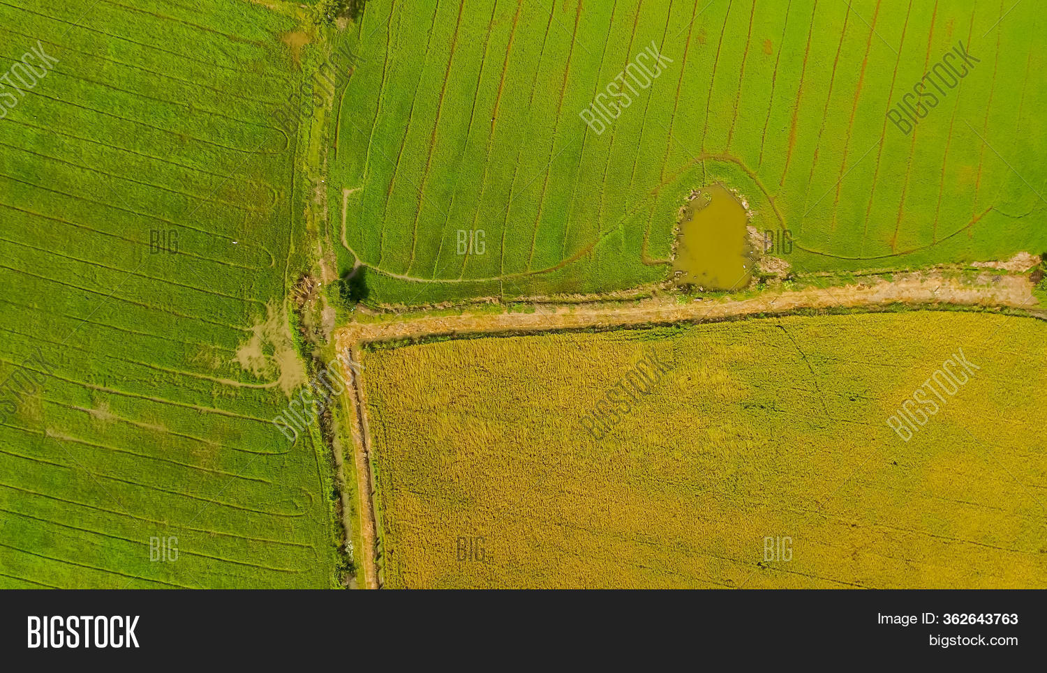 Aerial View Shot Drone Image & Photo (Free Trial) | Bigstock