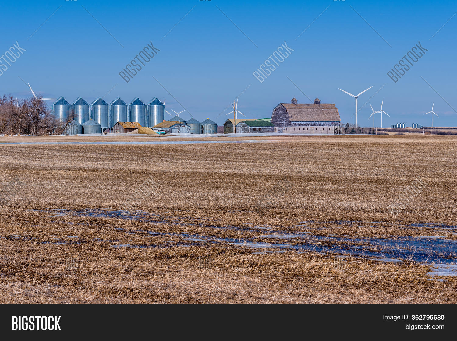 Field Farmyard Grain Image & Photo (Free Trial) | Bigstock
