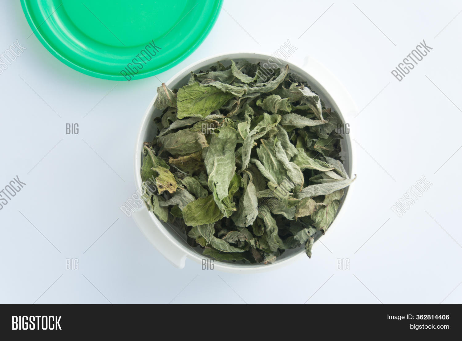 Mint Drying Home, Image & Photo (Free Trial) | Bigstock