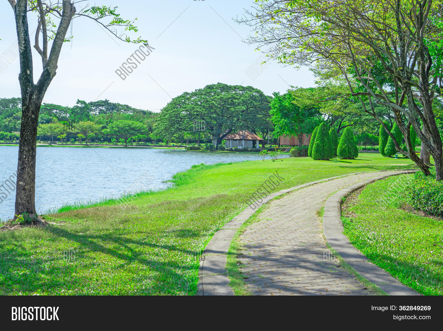Beautiful Scene Park, Image & Photo (Free Trial) | Bigstock