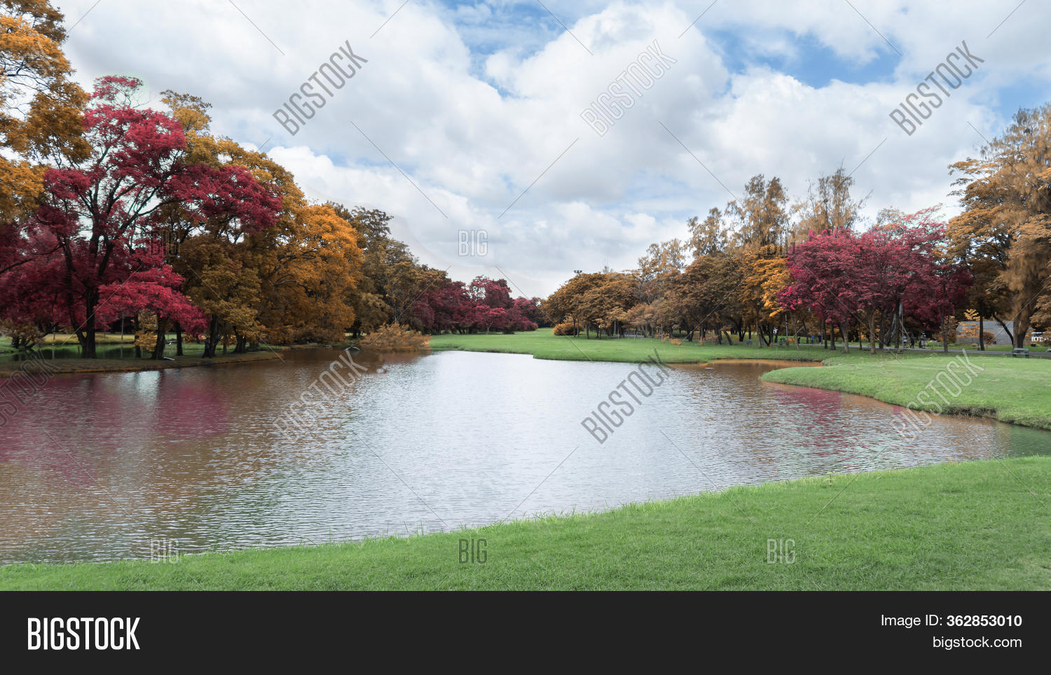Beautiful Park Autumn Image & Photo (Free Trial) | Bigstock