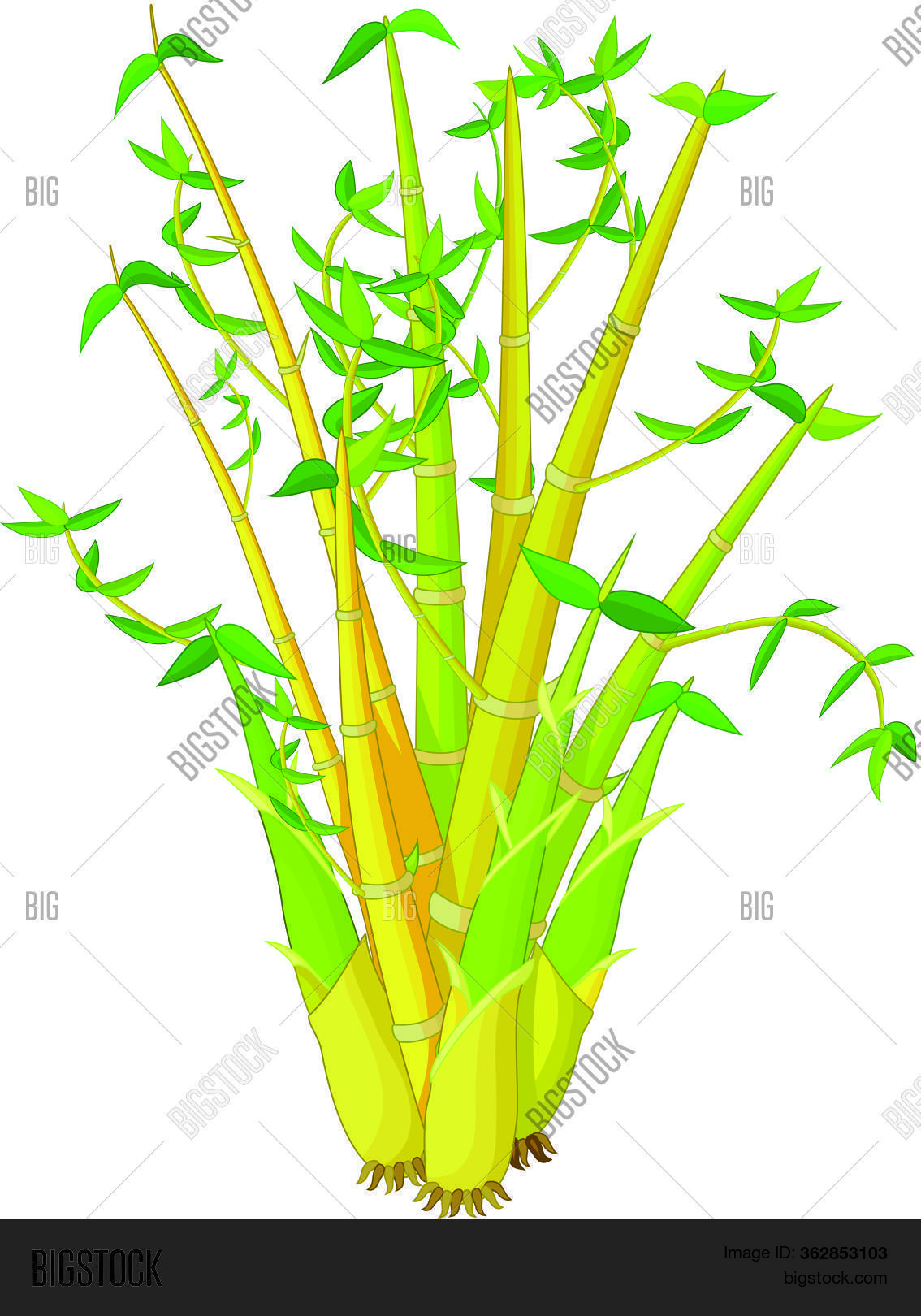 Green Yellow Bamboo Vector & Photo (Free Trial) | Bigstock