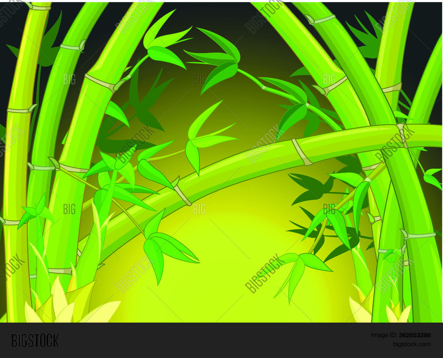 Green Bamboo Tree Vector & Photo (Free Trial) | Bigstock