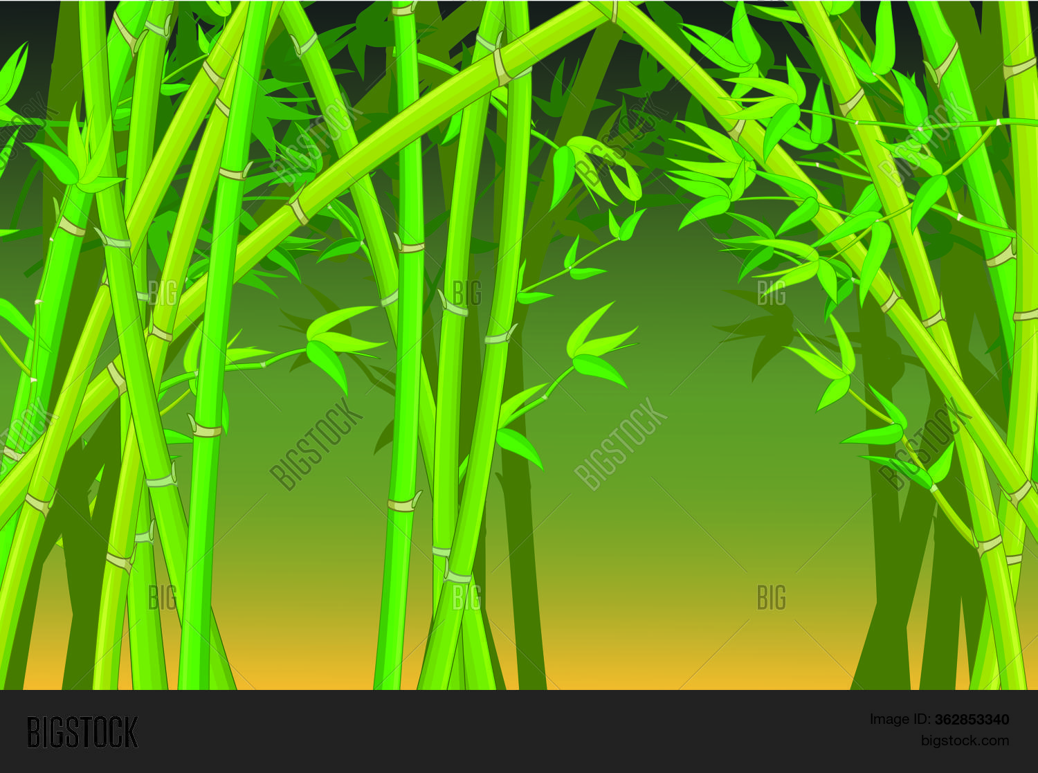 Green Bamboo Tree Vector & Photo (Free Trial) | Bigstock