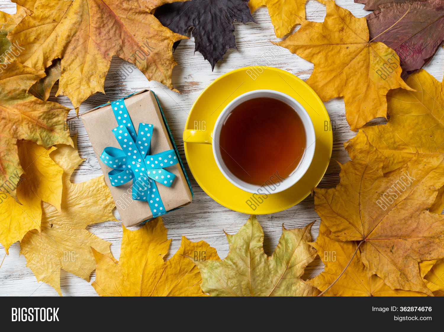 Flat Lay Autumn Image & Photo (Free Trial) | Bigstock