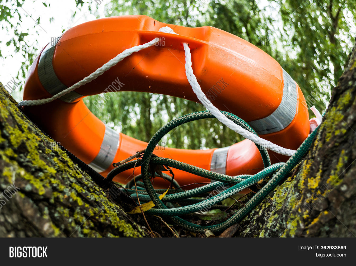 Orange Lifeline Ring Image & Photo (Free Trial) | Bigstock