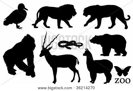 Zoo Animal Silhouettes Image & Photo (Free Trial) | Bigstock