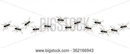 Ants Path Graphic Vector & Photo (Free Trial) | Bigstock