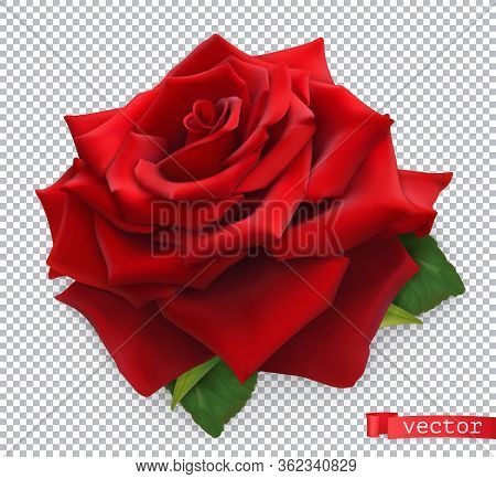 Red Rose. 3d Vector & Photo (Free Trial) | Bigstock