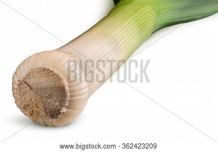 Fresh Green Leek Image & Photo (Free Trial) | Bigstock