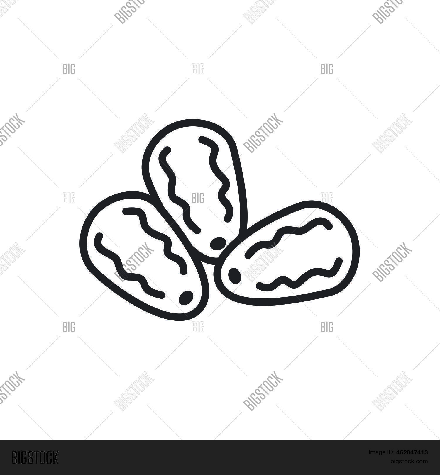 Date Palm Icon Vector & Photo (Free Trial) | Bigstock