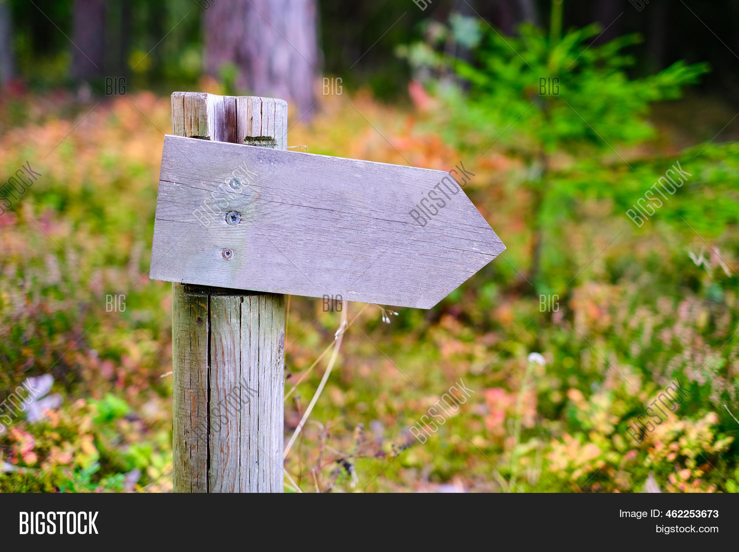 Wooden Pole Indicator Image & Photo (Free Trial) | Bigstock