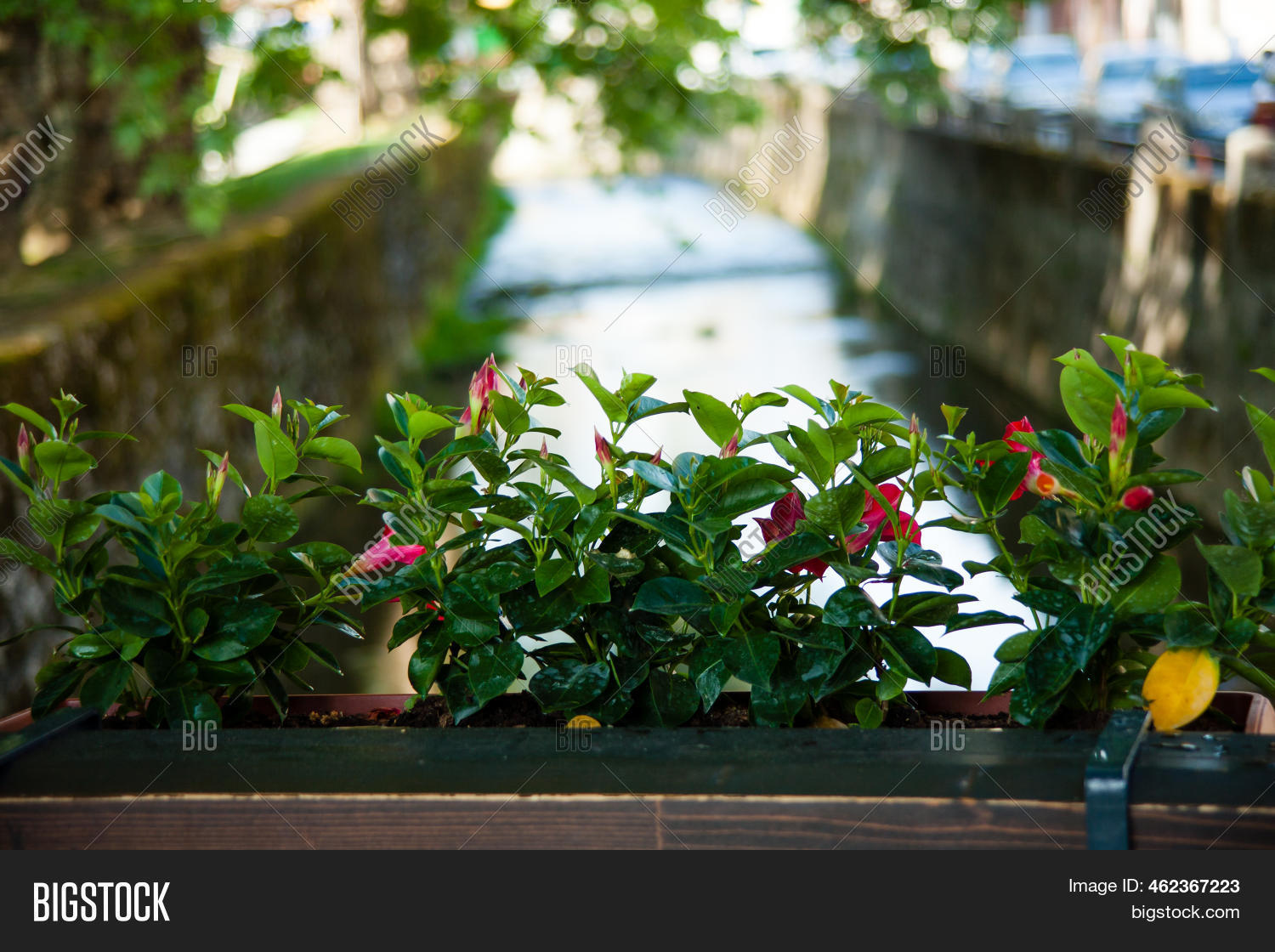 Colorful Street View Image & Photo (Free Trial) | Bigstock
