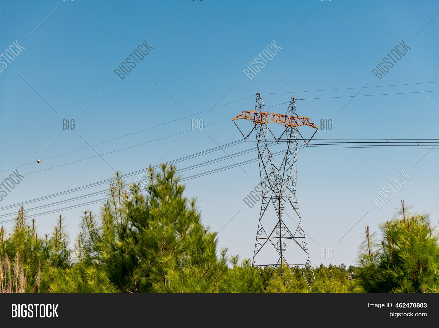 Electric Power Poles Image & Photo (Free Trial) | Bigstock