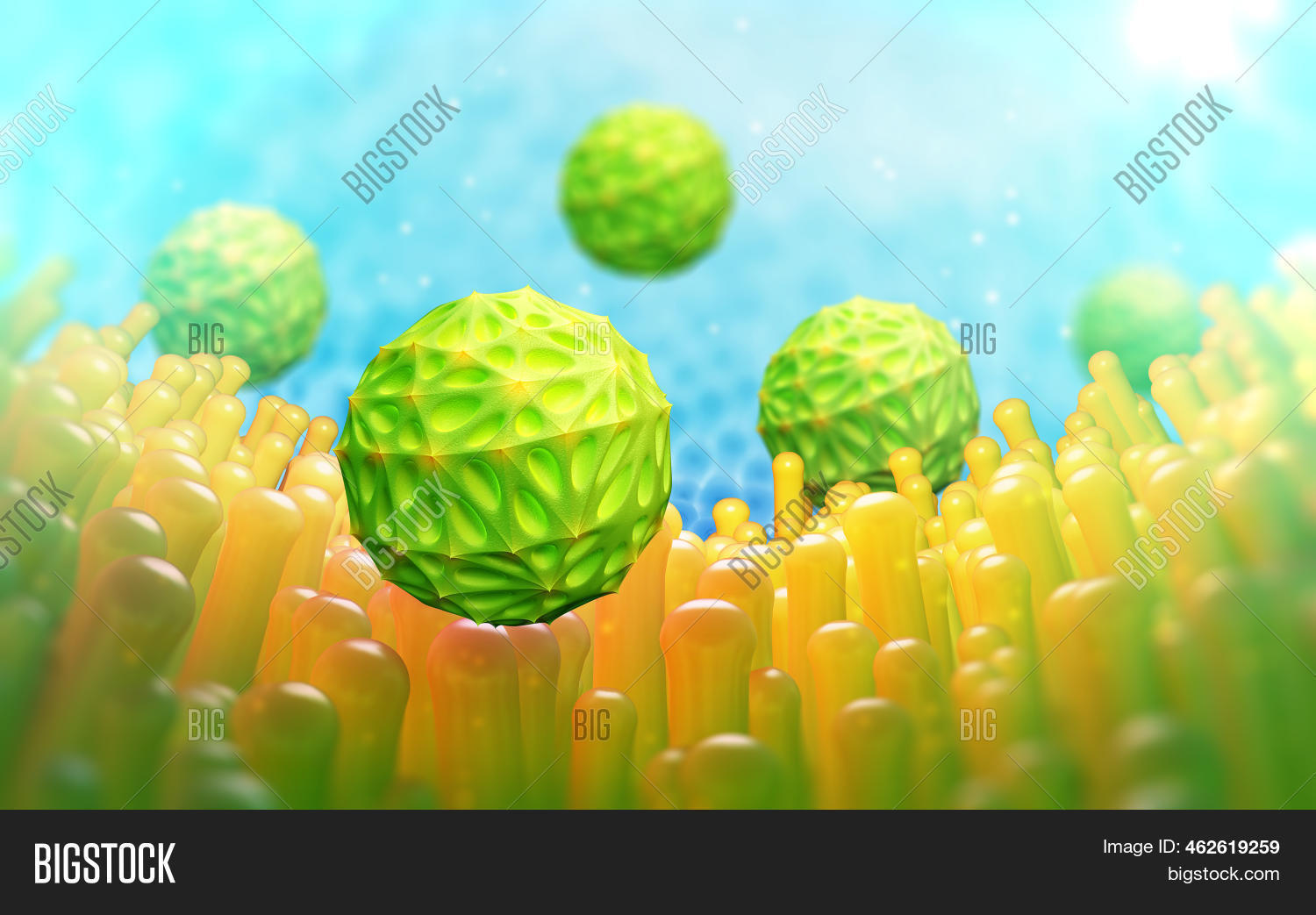 Flower Pollen Allergic Image & Photo (Free Trial) | Bigstock