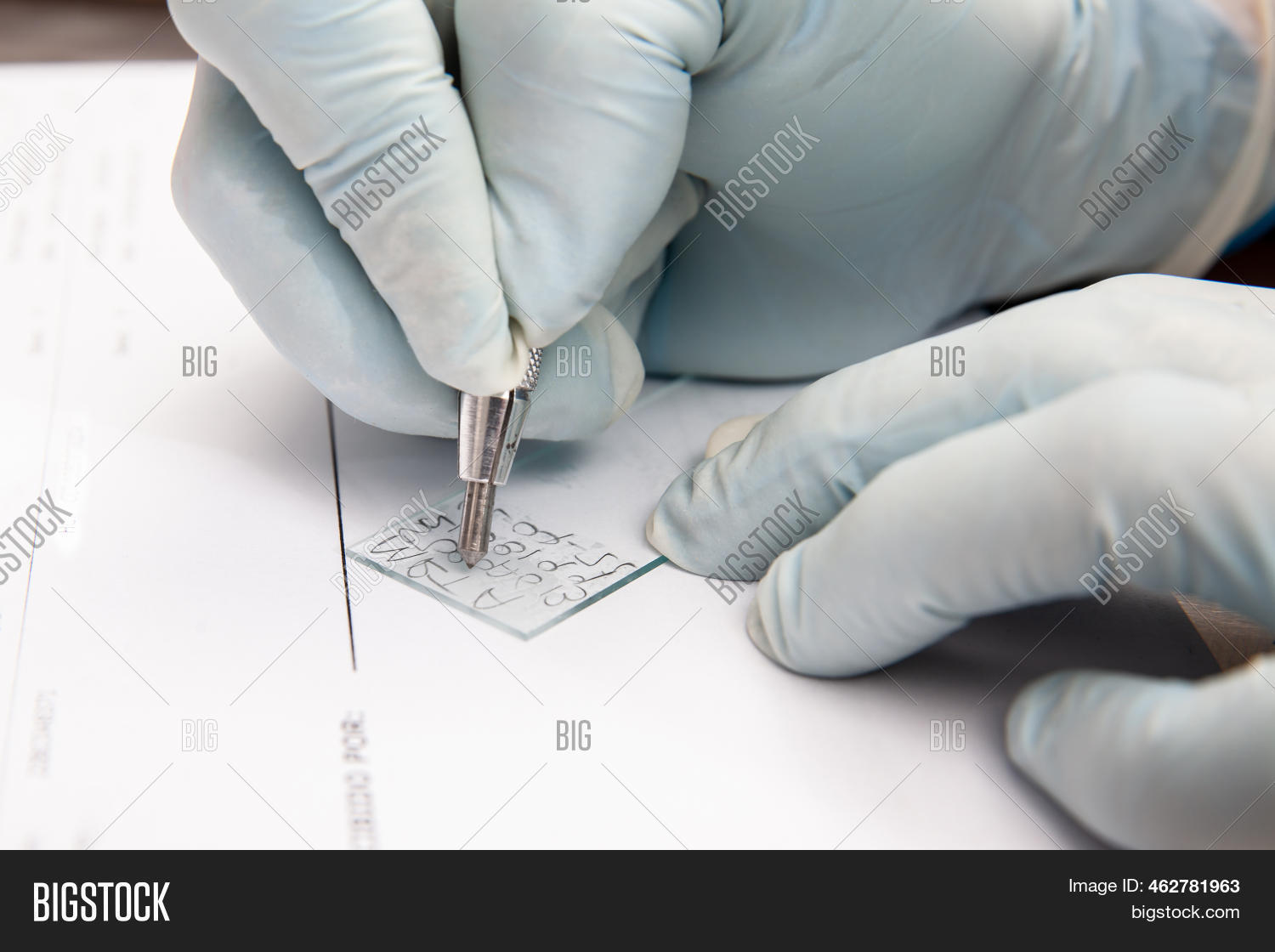 Laboratorian Labelling Image & Photo (Free Trial) | Bigstock
