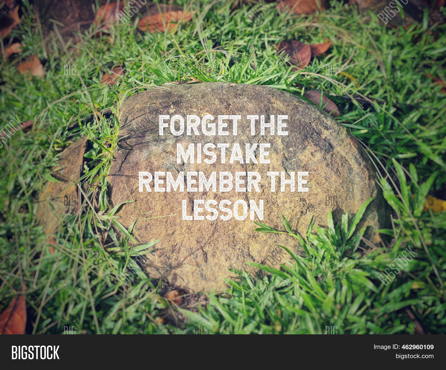 'forget Mistake Image & Photo (Free Trial) | Bigstock