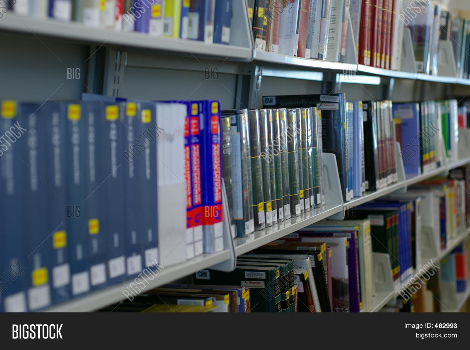 Rows Books Image & Photo (Free Trial) | Bigstock
