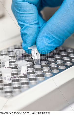 Closeup Scientist Hand Image & Photo (Free Trial) | Bigstock