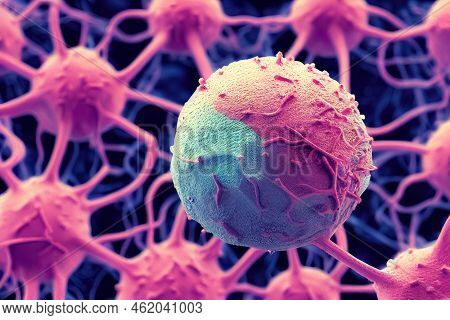 2d Illustration Image & Photo (Free Trial) | Bigstock