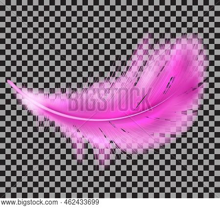 Soft Feather Vector