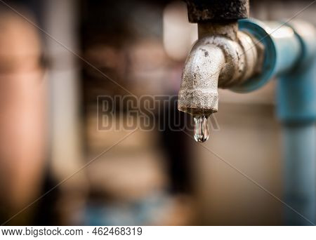 ภาพและภาพถ่าย (ทดลองใช้ฟรี) | Bigstock