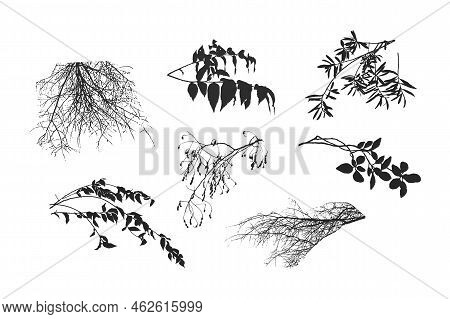 Withering Autumn Vector & Photo (Free Trial) | Bigstock