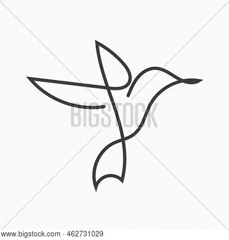 Hummingbird Vector & Photo (Free Trial) | Bigstock