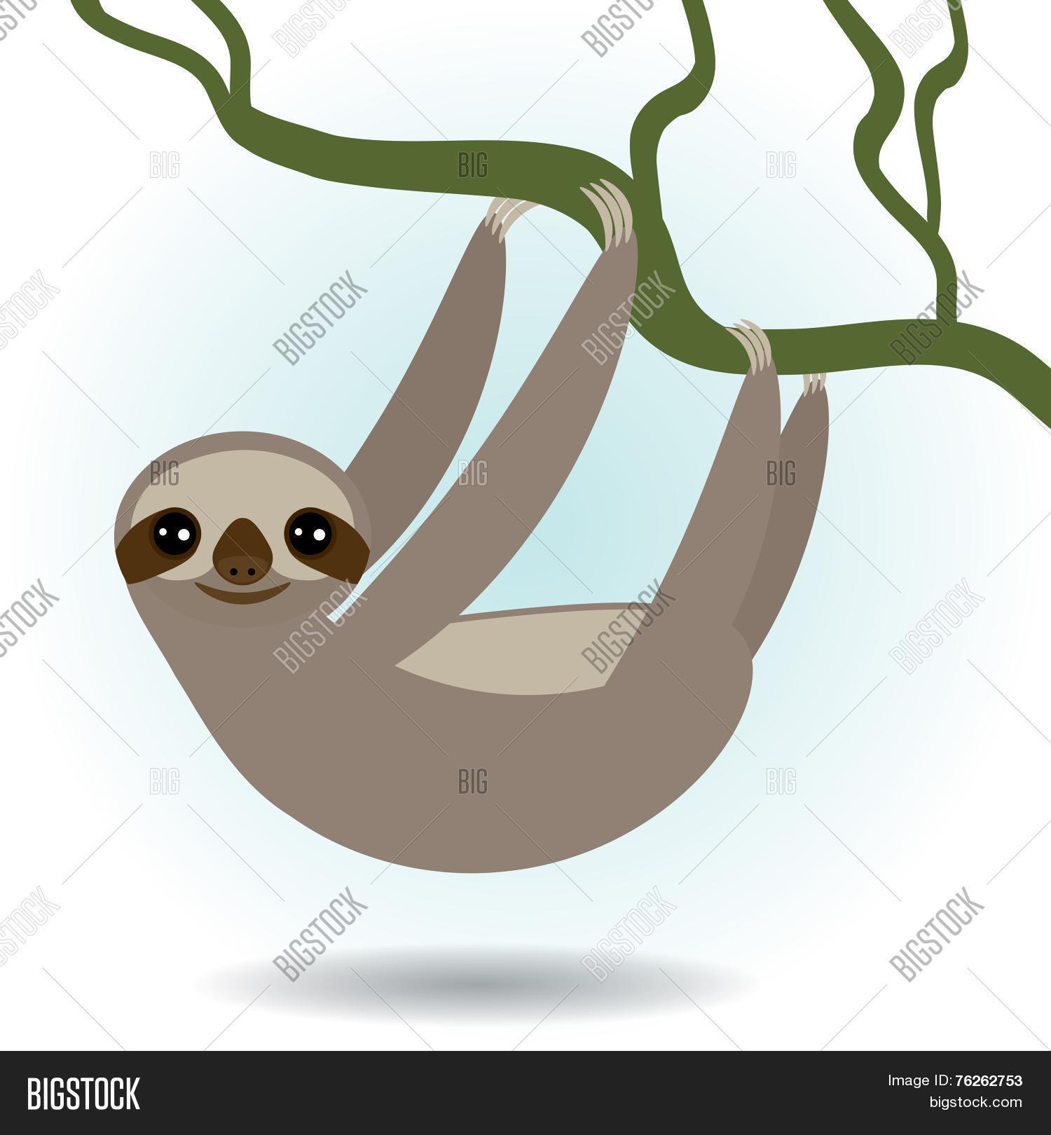 Three-toed Sloth On Vector & Photo (Free Trial) | Bigstock