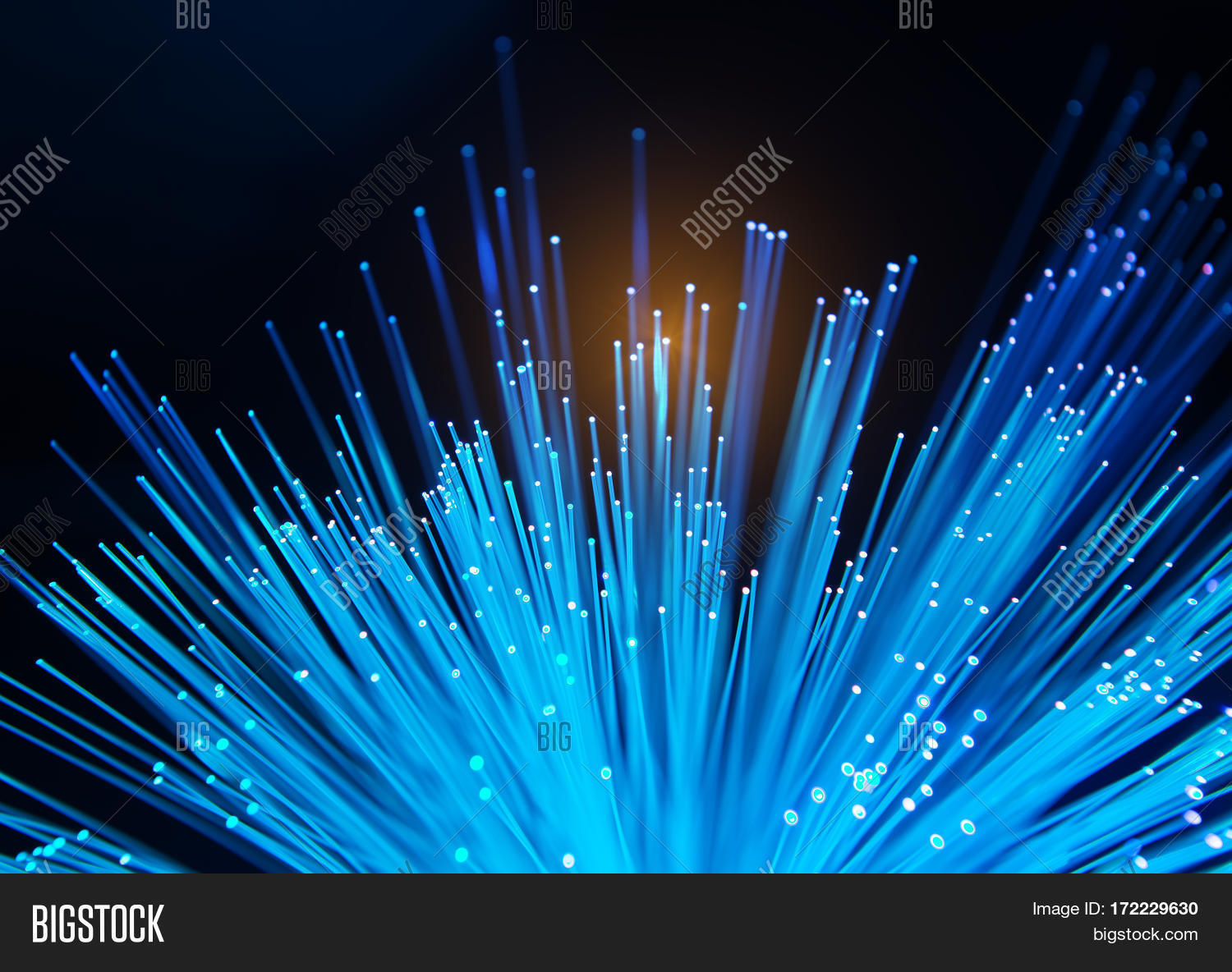 Fiber Optic Cables Image & Photo (Free Trial) | Bigstock
