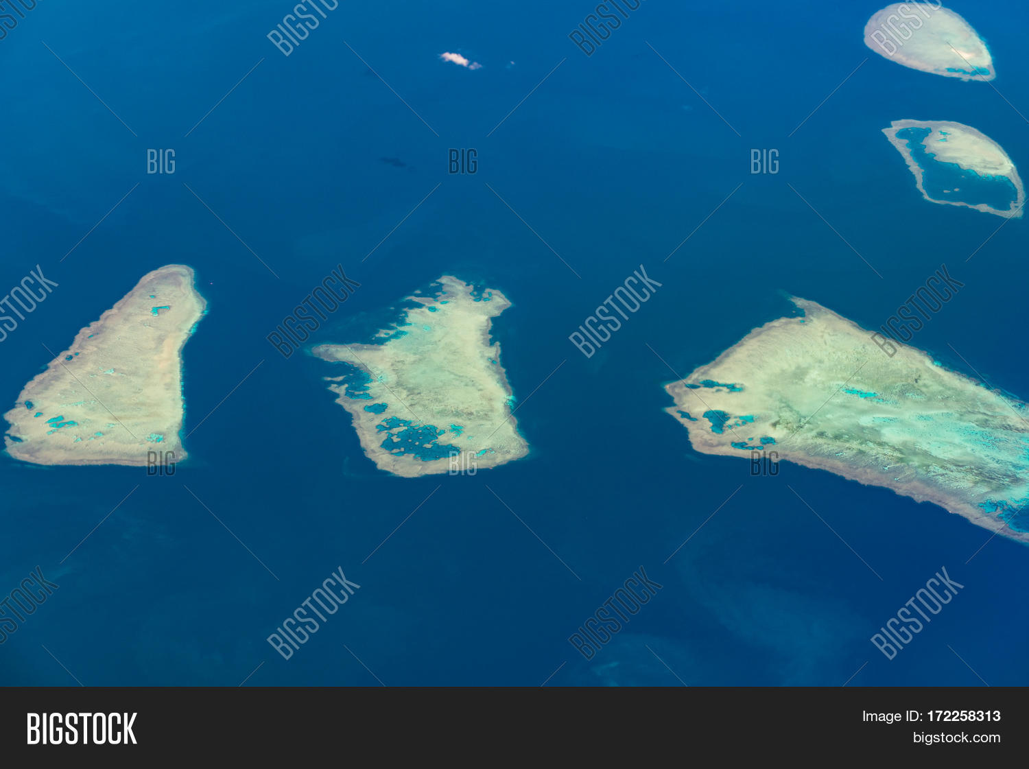 Paul Reef Percy Group Image & Photo (Free Trial) | Bigstock