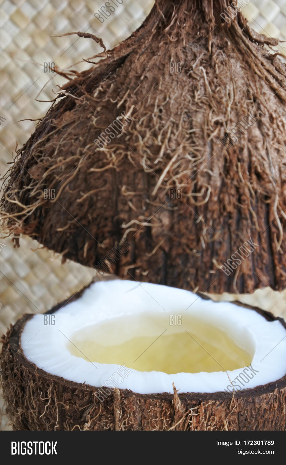Open Coconut Palm Image & Photo (Free Trial) | Bigstock