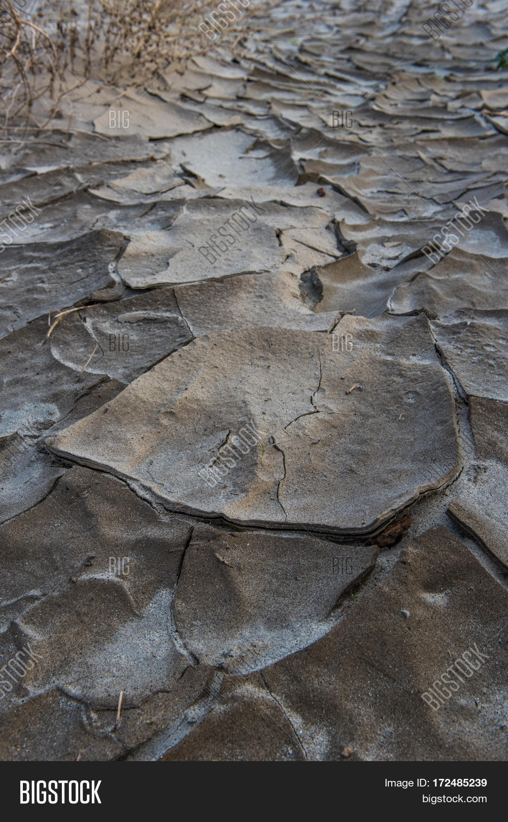 Clumps Dried Mud Form Image & Photo (Free Trial) | Bigstock