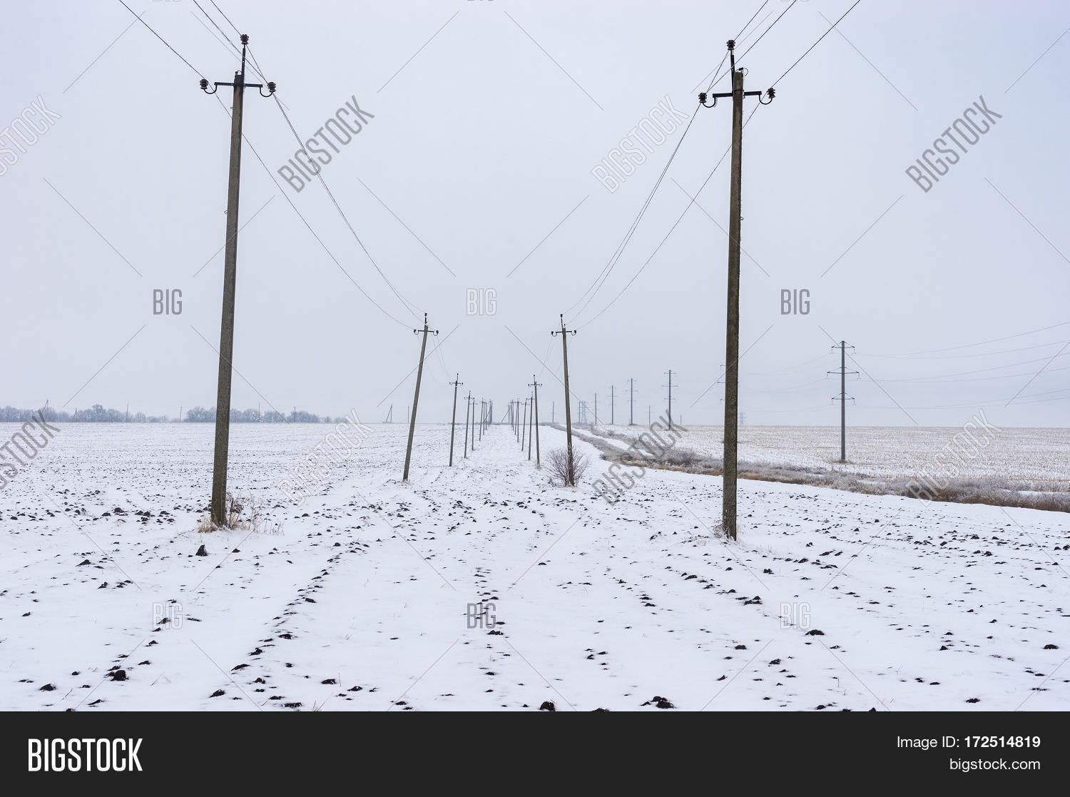 Rows Poles Bearing Image & Photo (Free Trial) | Bigstock