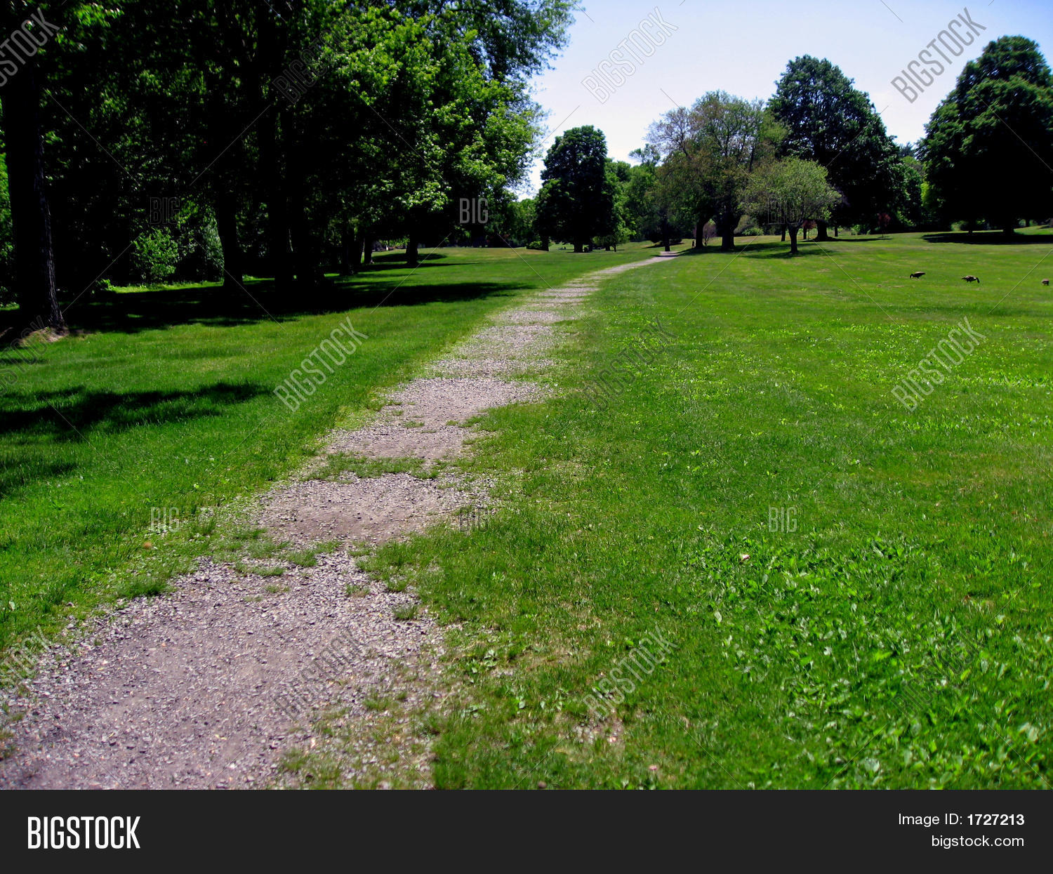 Gravel Path Park Image & Photo (Free Trial) | Bigstock