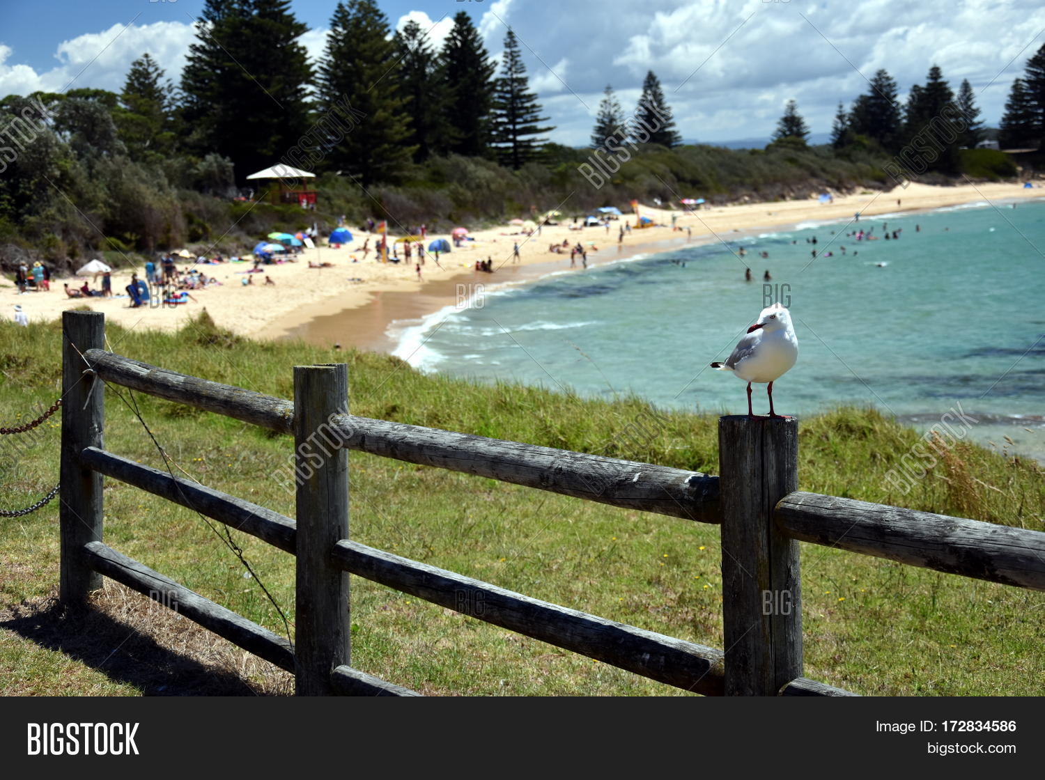 Beach Bermagui. Image & Photo (Free Trial) | Bigstock