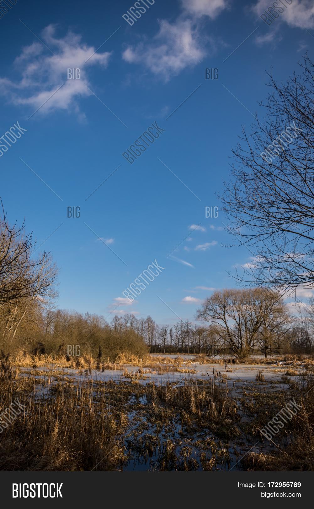 Early Spring Scene Image & Photo (Free Trial) | Bigstock