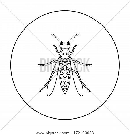 Wasp Icon Outline Vector & Photo (Free Trial) | Bigstock