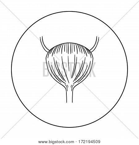 Human Urinary Bladder Vector & Photo (Free Trial) | Bigstock