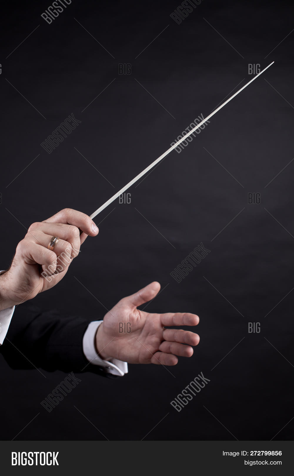 Music Conductor Hands Free Conductor Leads Orchestra Image | Download
