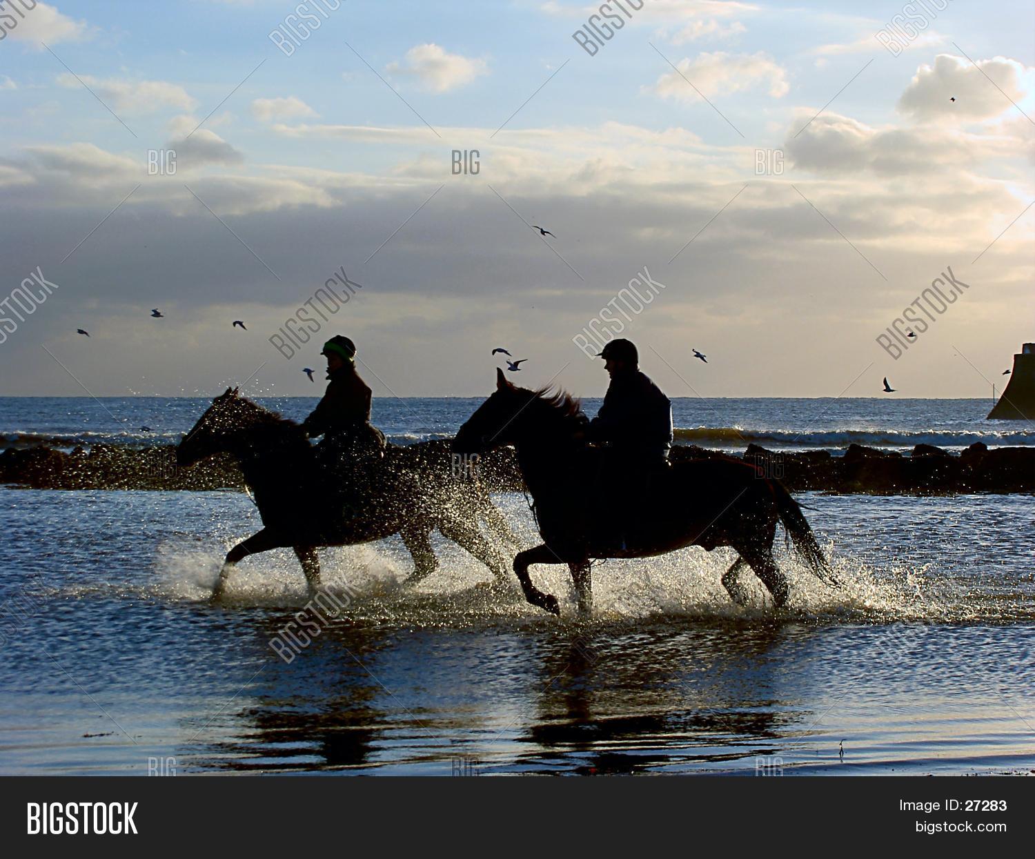 Galloping Horses Image & Photo (Free Trial) | Bigstock